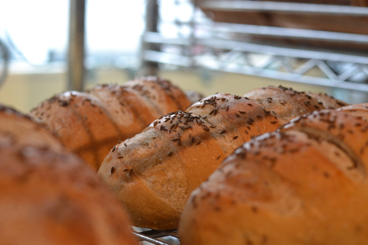 Light Rye with Kimmel Seeds – Pan Chancho Bakery