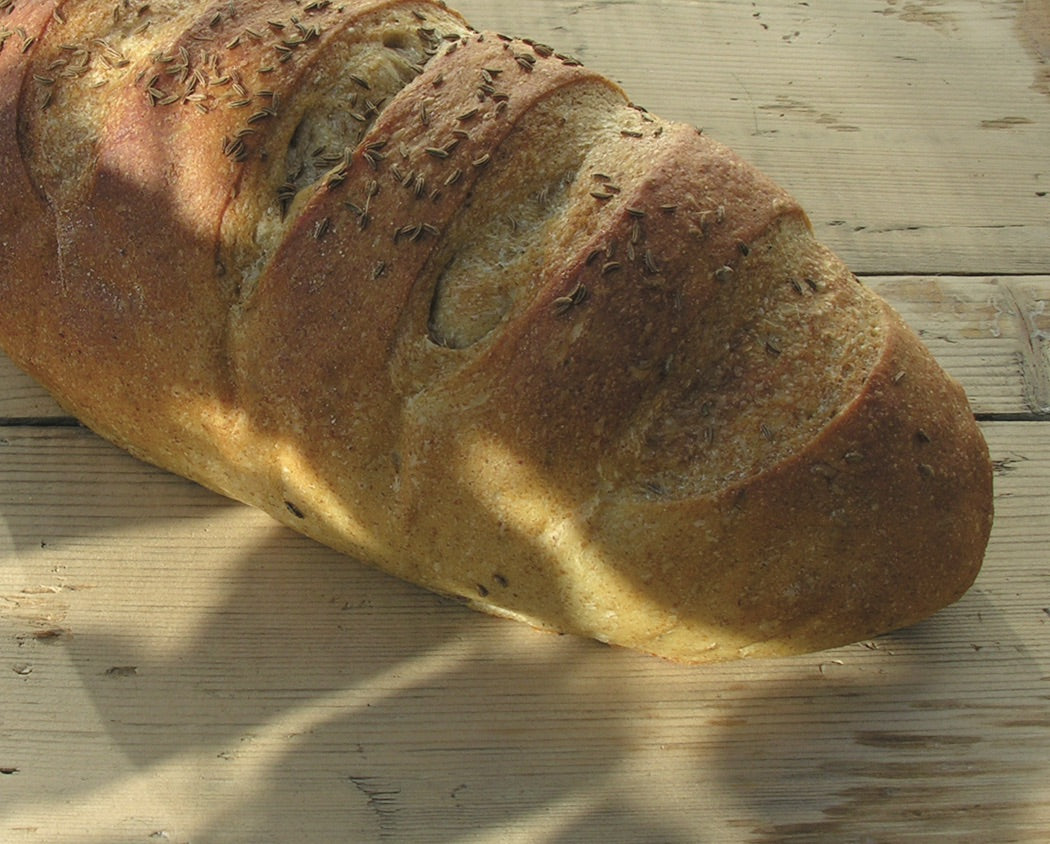 Light Rye with Kimmel Seeds – Pan Chancho Bakery